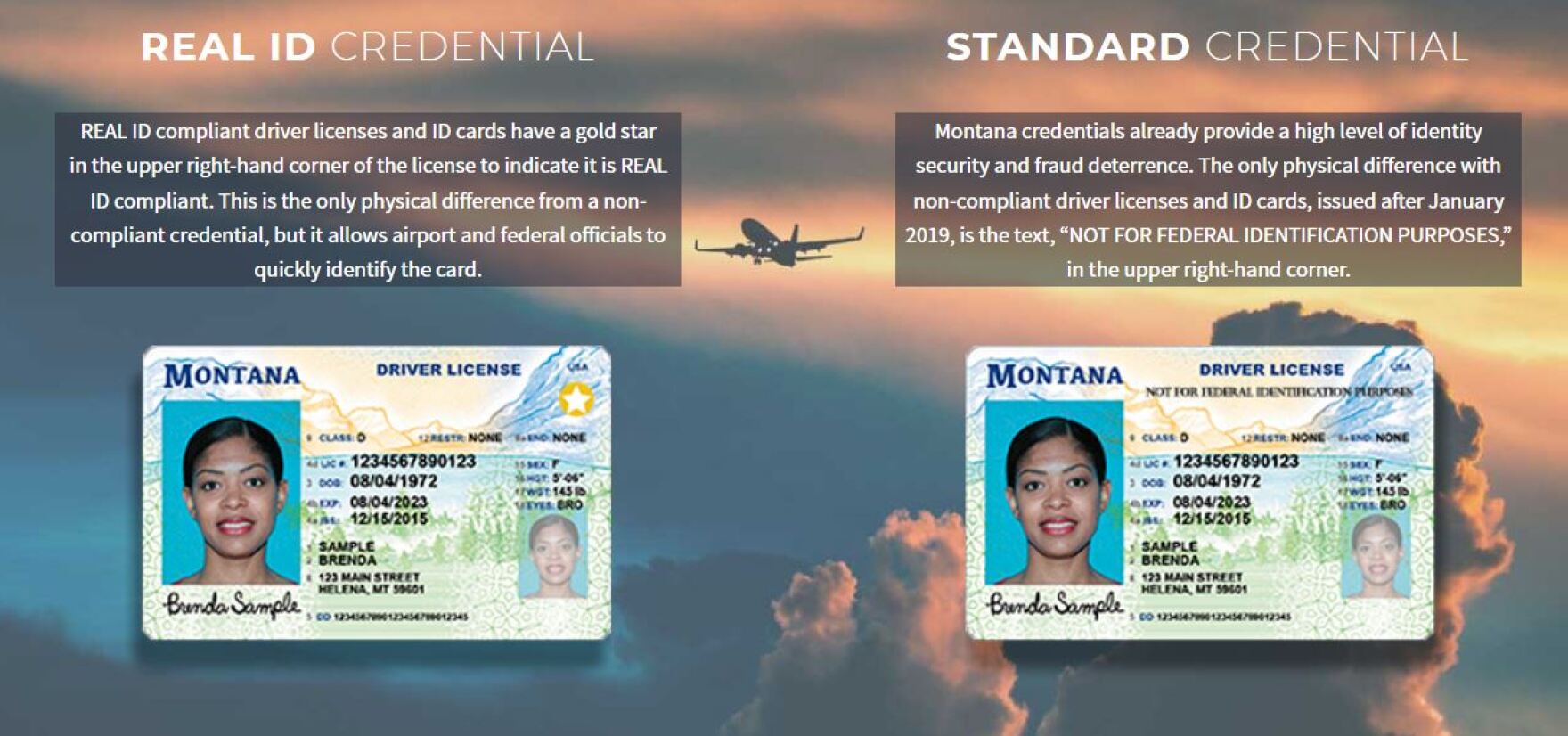 THE REAL ID ACT 2005 OFFICIAL PURPOSES AND YOUR BIOMETRICS THE REAL ID ACT 2005 OFFICIAL PURPOSES AND YOUR BIOMETRICS